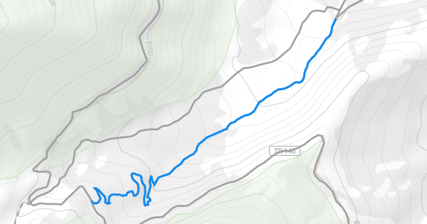 Inner Basin Trail Multi Trail - Flagstaff, Arizona