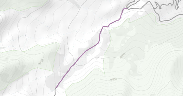 Inner Basin Trail Hiking Trail - Flagstaff, Arizona