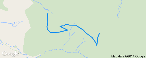 Lead Mine Path Mountain Biking Trail - Innerleithen
