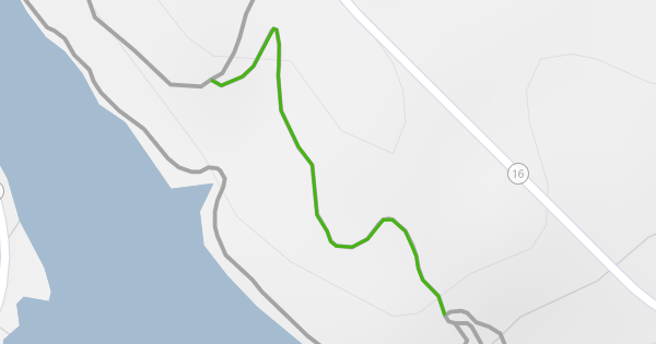 Feral Hog Multi Trail - Fayetteville, Arkansas