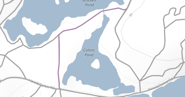 Collins Pond Path Multi Trail - Andover, Massachusetts