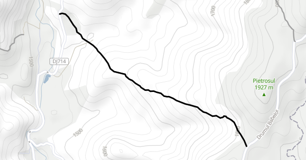 Transbucegi - Padina Mountain Biking Trail