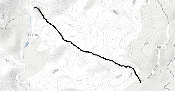 Transbucegi - Padina Mountain Biking Trail