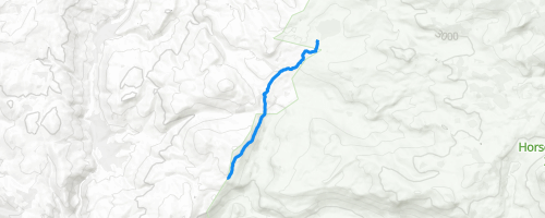 Red Dirt / Ditch Creek Trail Hiking Trail - Steamboat Springs