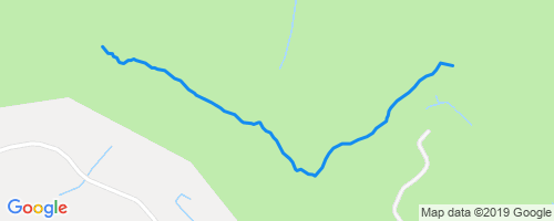 Birk Bank to Westow Plantation Mountain Biking Trail - York