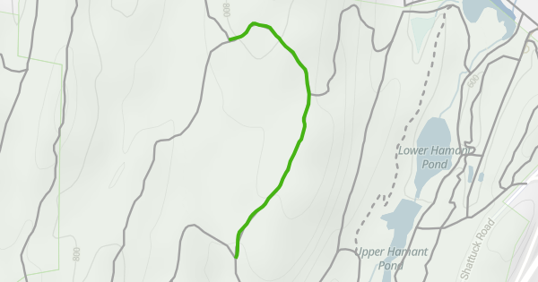 Raven Rookery Multi Trail - Sturbridge, Massachusetts