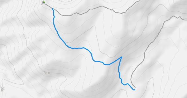 West Zigzag Trail Hiking Trail - Mt. Hood - Oregon