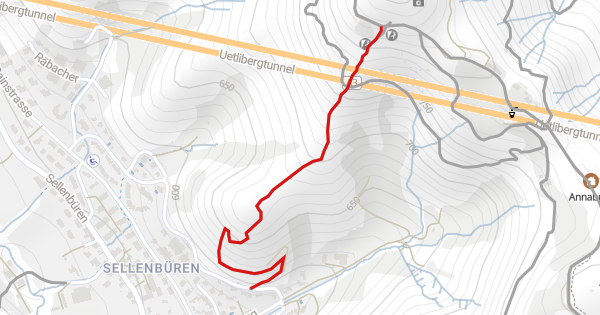 Burg Trail Hiking Trail - Uetliberg, Zürich