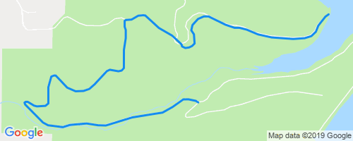 Hodge Mountain Biking Trail - Marienville, Pennsylvania