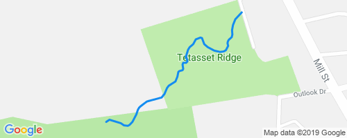 Blue Square Trail Multi Trail - Worcester, Massachusetts