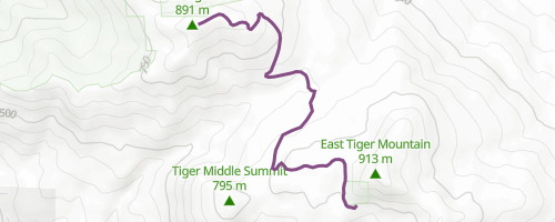 Main Tiger Mountain Road Mountain Biking Trail - Issaquah
