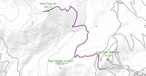 Main Tiger Mountain Road Multi Trail - Issaquah, WA