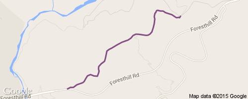 Fuel Break Trail Mountain Biking Trail - Auburn, CA