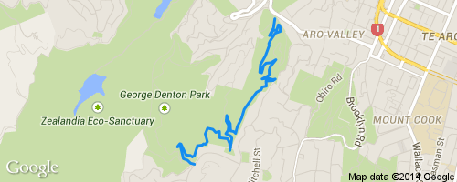 Transient Mountain Biking Trail - Wellington