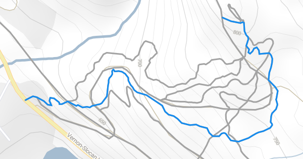 Zoolander Mountain Biking Trail - Nakusp, BC
