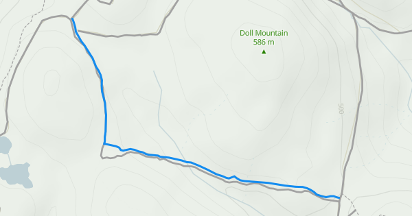 Shaker Brook Trail Multi Trail - Pittsfield, MA