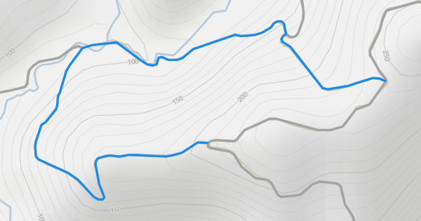 Waipapa Loop Mountain Biking Trail - Wellington