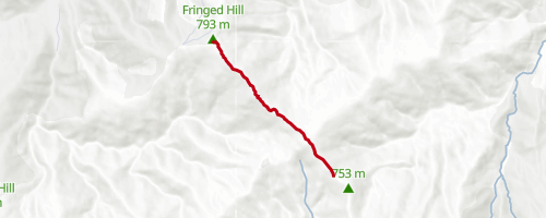 Black Diamond Mountain Biking Trail - Nelson