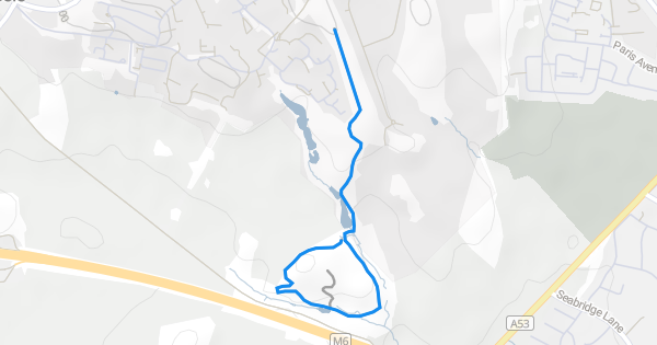 Keele Woods Multi Trail - | Trailforks