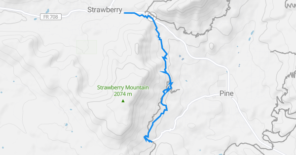 Pine-Strawberry Trail Multi Trail - Payson, AZ