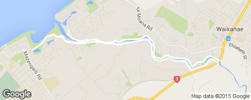 Waikanae River Cycle/Walk Way Mountain Biking Trail