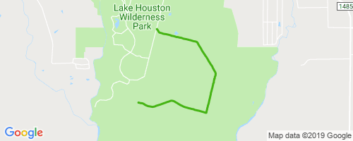 Loggers Loop Trail Mountain Biking Trail - New Caney