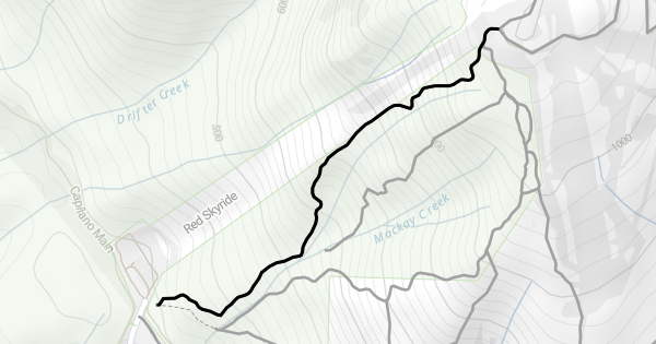 Grouse Grind Hiking Trail - North Vancouver, BC