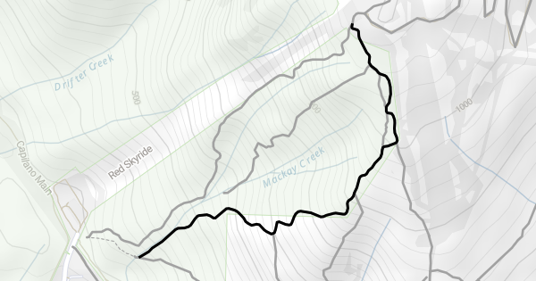 BCMC Trail Hiking Trail - North Vancouver, BC