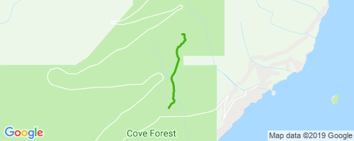 Three Chop Trail Hiking Trail - North Vancouver, BC