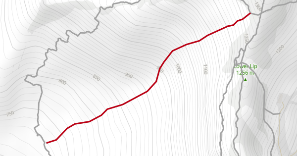 Laura Cowles Trail Hiking Trail - Stowe, VT | Trailforks