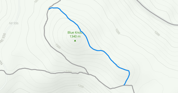 Blue Knob Trail Multi Trail - Hillsboro, West Virginia