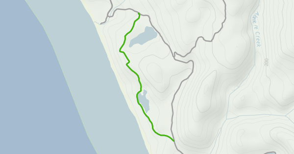 Ocean Lake Loop Multi Trail - Olema, California