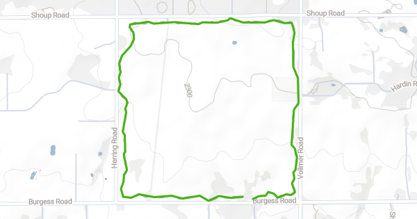 Black Forest 16 Loop Mountain Biking Trail - Colorado Springs