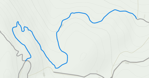 Burt's Mountain Biking Trail - Wenatchee, Washington