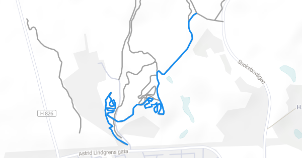 Vimmerby MTB 1 Mountain Biking Trail - Vimmerby