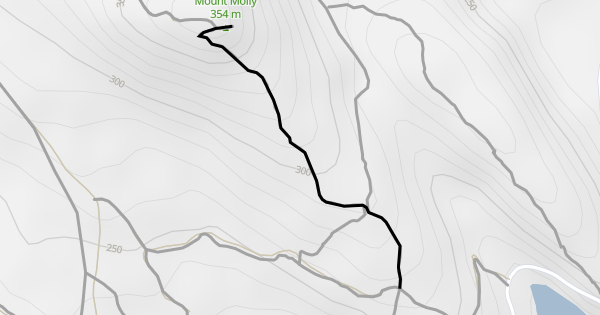 Mount Molly Trail Multi Trail - New Durham, New Hampshire