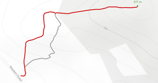 Red Hill Trail Mountain Biking Trail - Huntly
