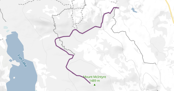 McIntyre Road (McIntyre Descent) Multi Trail - Whitehorse