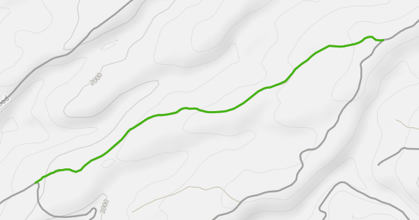 Lower Tepee (aka Think Fast Hippie) Mountain Biking Trail - Tetonia