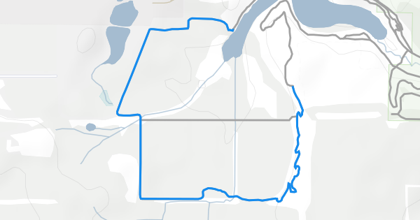 Robertson Expressway Mountain Biking Trail - Rochester