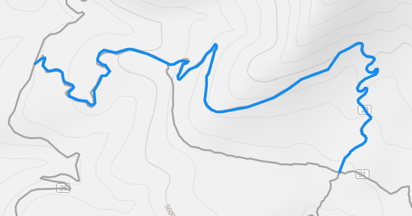 Pineview Trail Multi Trail - Pine, Arizona | Trailforks