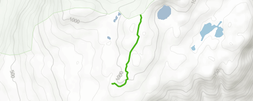 Burke Ridge Trail Hiking Trail - Coquitlam, BC