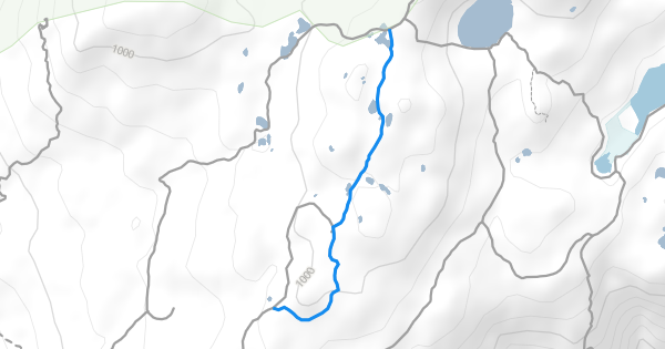 Burke Ridge Trail Hiking Trail - Coquitlam, BC
