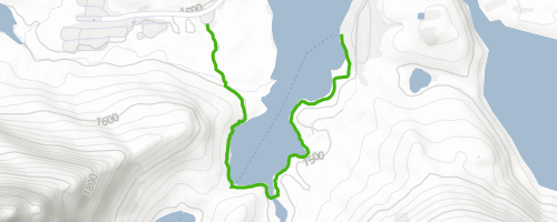 Swiftcurrent Lake Trail Hiking Trail - - Montana