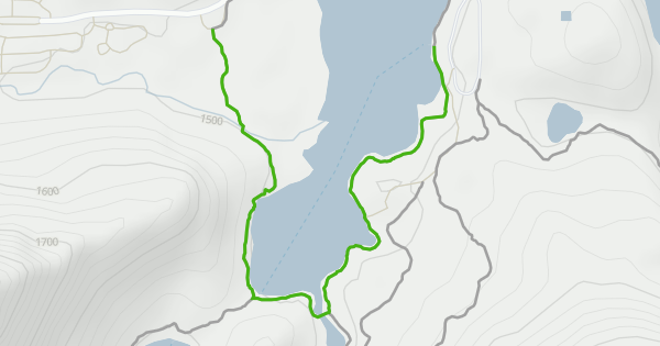 Swiftcurrent Lake Trail Hiking Trail - - Montana