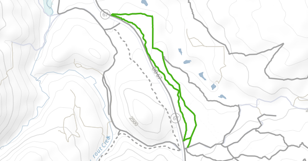 Wildflower Alley Loop Mountain Biking Trail - Woodland Park