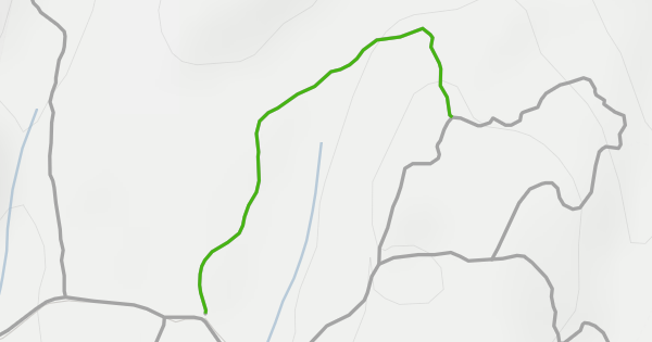 Raven's Trail Mountain Biking Trail - Silverdale, WA