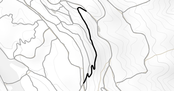 Fall-Line Mountain Biking Trail - Angwin, California