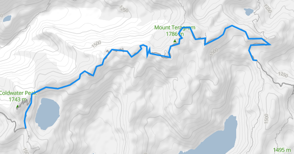 Boundary Trail (Cold Creek to Norway Pass) Multi Trail - Randle