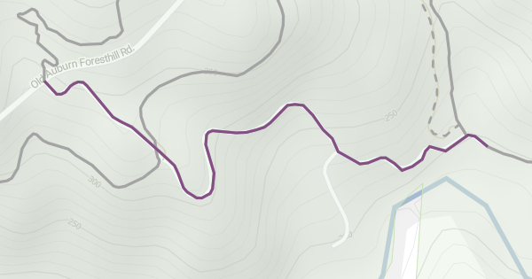 Mammoth Bar OHV access road Mountain Biking Trail - Auburn